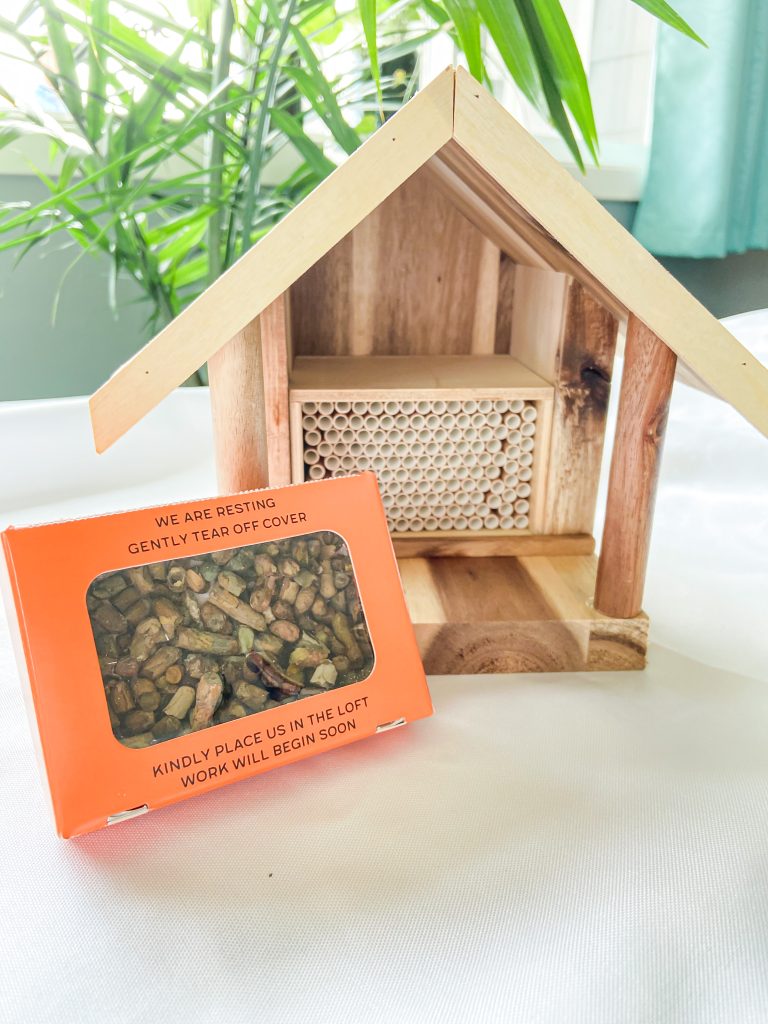 4 Ways to Decorate Your Leafcutter Bee House - Kind Bee Farms